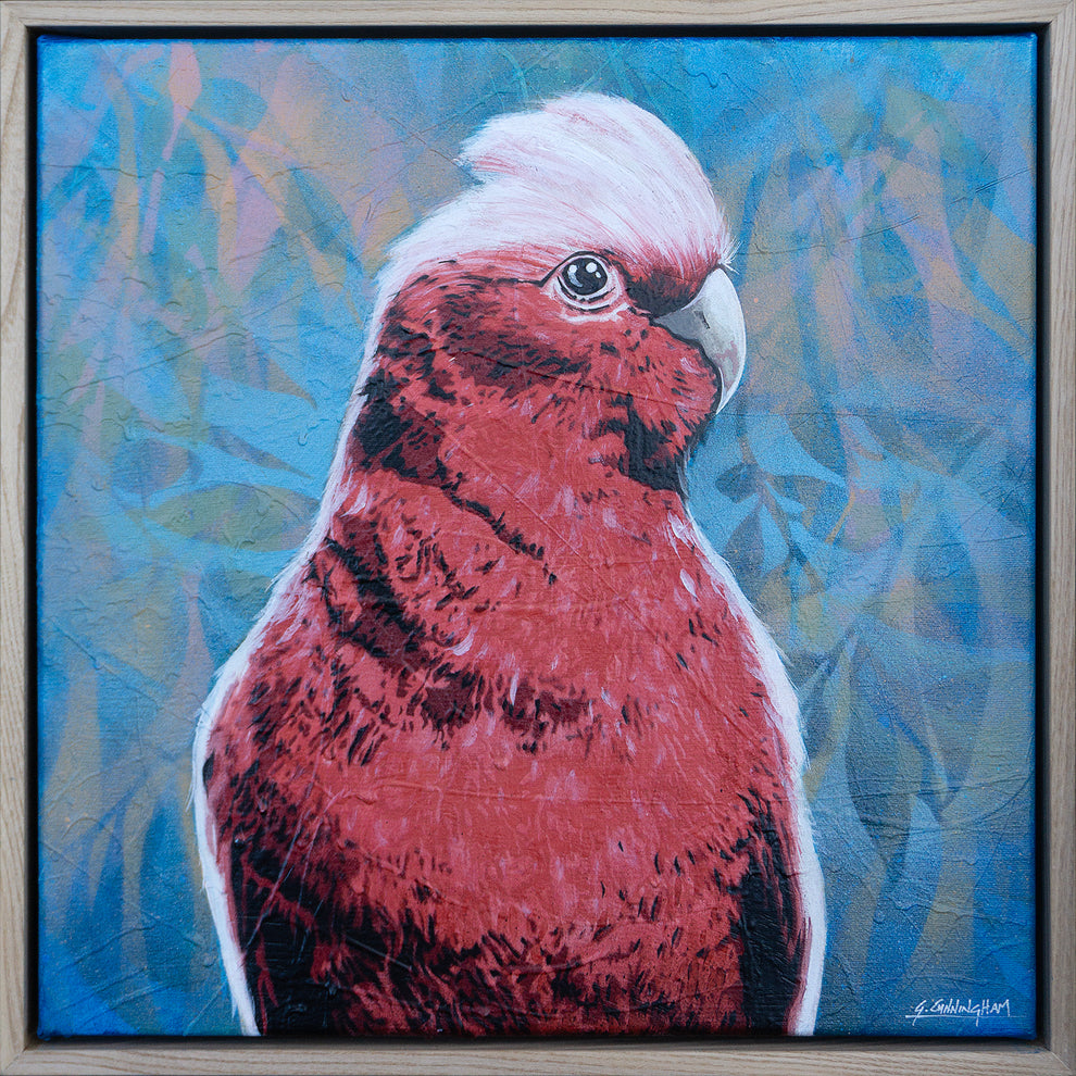 Silly Bloody Galah' – Geoff Cunningham Art